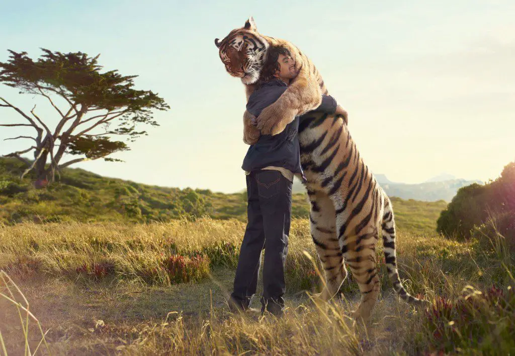 9 Reasons You Need To Be Giving and Receiving Hugs Every Day | Wake Up ...