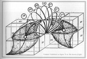 What is Chi? Exploring Our Eternal Reality | Wake Up World