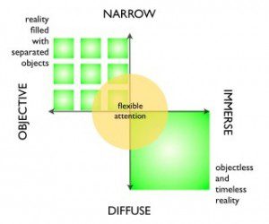 The Open Focus Theory - Diffuse Attention, Unify Reality | Wake Up World