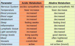 Striking the Balance: Why Optimal Body pH Matters and How to Achieve It ...