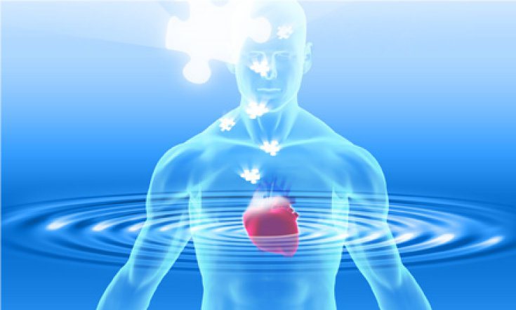 The Heart Consciousness - a Neurological Perspective | Wake Up World