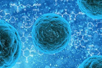 Your Cells Are Listening: How Talking To Your Body Can Help You Heal ...