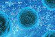 Your Cells Are Listening: How Talking To Your Body Can Help You Heal ...