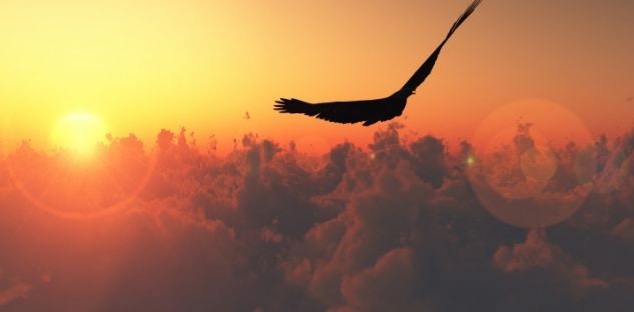 The Power Of The Sovereign Spirit | Wake Up World