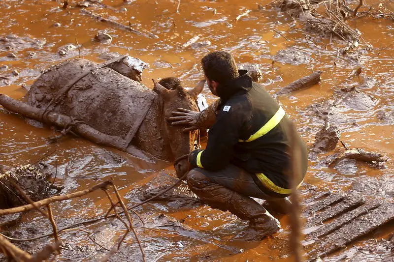Brazil's Mining Dam Failure: a “Slow-Motion Environmental Catastrophe ...