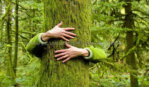 Tree Hugging Proven To Improve Health Issues | Wake Up World