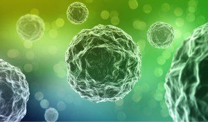 Who’s Living Whom? Bacterial Cells vs. Human Cells in the Body | Wake ...