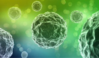 Who’s Living Whom? Bacterial Cells vs. Human Cells in the Body | Wake ...