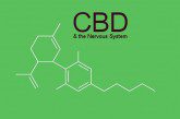 Cannabis as Medicine: How CBD (Cannabidiol) Benefits the Brain and ...