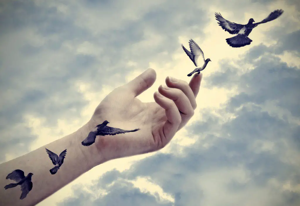 10 Signs of Our Global Awakening | Wake Up World