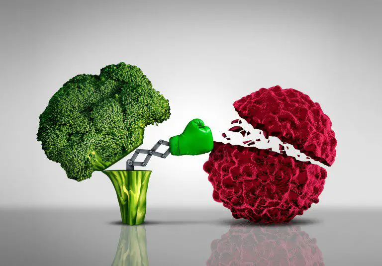 The Metabolic Model of Cancer: How Nutrition and Diet Influences Cancer ...