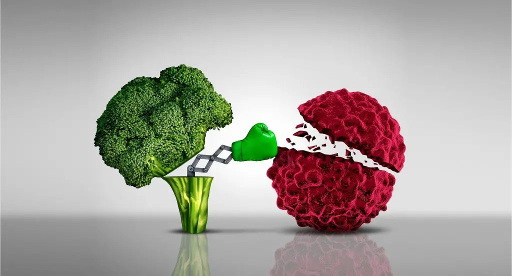 Cancer Fighting Foods – Four Anti-Cancer Foods | Wake Up World