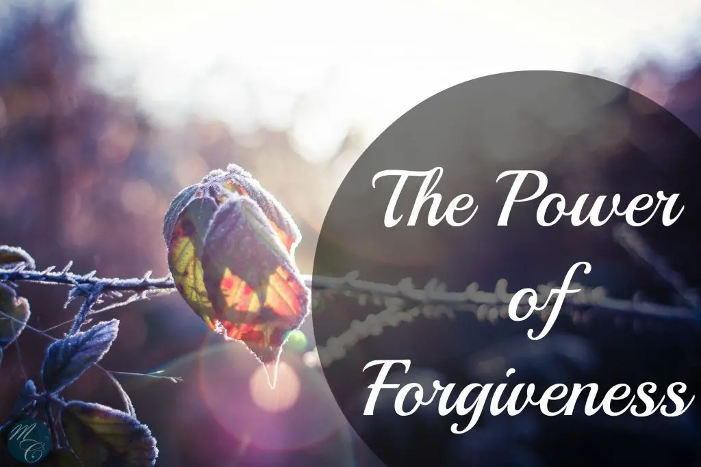 The Power of Forgiveness: The Transformational Effect of Letting Go of ...