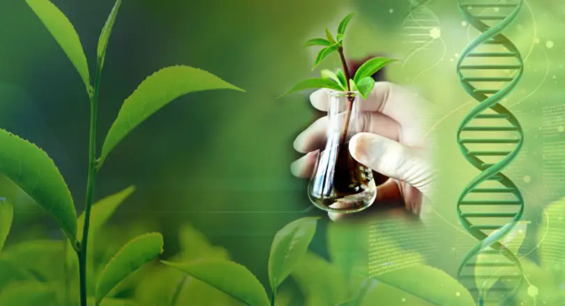 The Price We Pay for Fighting Pests With Chemicals and Genetic ...