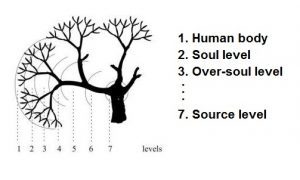 The Multidimensional Self: Exploring Reality, the Soul and the Highest ...