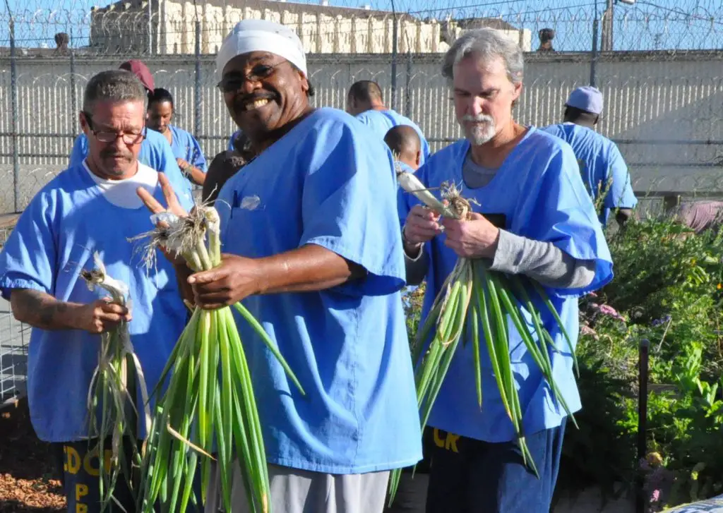 Real Rehabilitation – The Benefits of Organic Gardening in Prisons ...
