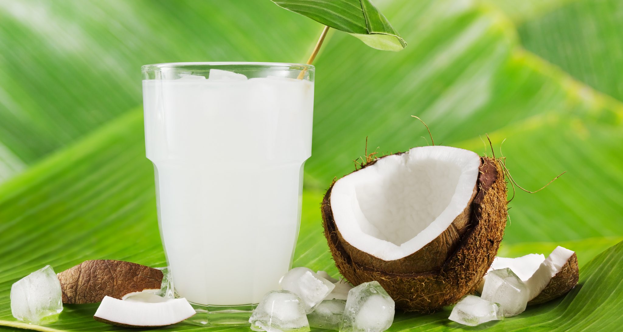 Coconut Water: Far More Than Just A Refreshing Beverage | Wake Up World