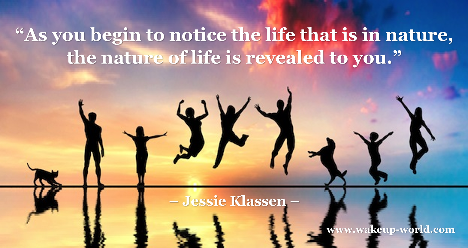 6 Simple Ways to Keep You and Your Family Grounded | Wake Up World