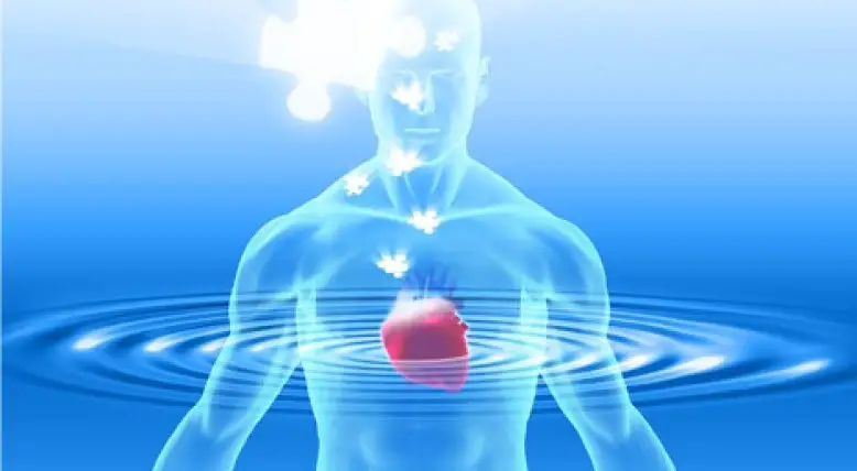 Study Confirms That Matters of the Heart Directly Influence the HEALTH ...