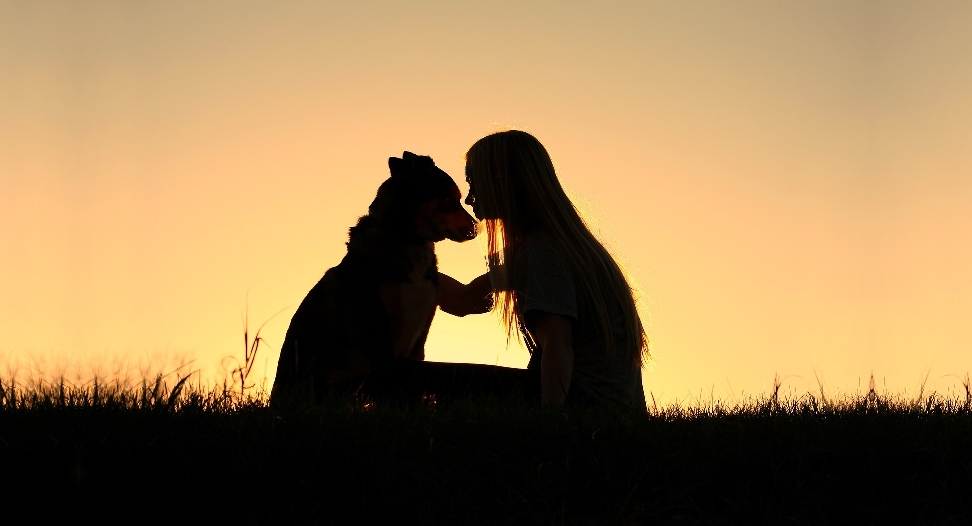 How to Communicate With Our Pets and Honour Their Soul Purpose | Wake ...