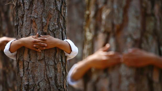 How Spending Time in Nature Makes Us Kinder and More Generous | Wake Up ...