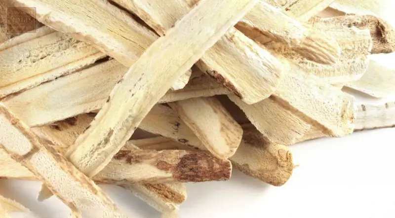 17 Remarkable Health Benefits of Astragalus Root, Backed by Science ...