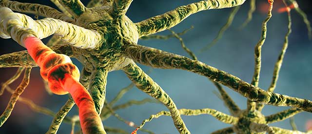 Brain Regeneration: Why It's Real and How To Do It | Wake Up World