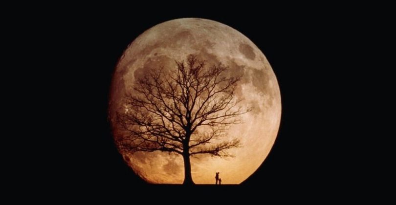 Brain Regeneration: Why It's Real and How To Do It | Wake Up World