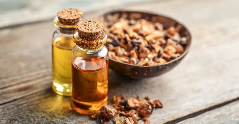 Myrrh Oil: The Health Benefits of This ‘Holy’ Oil | Wake Up World