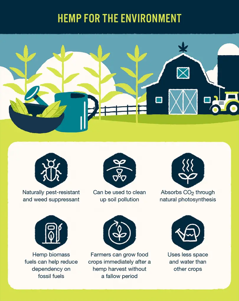 A Comprehensive Guide to Hemp: Uses, Nutrition, Benefits and History ...