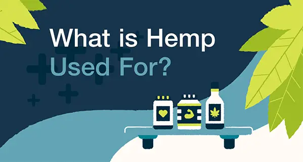 A Comprehensive Guide to Hemp: Uses, Nutrition, Benefits and History ...