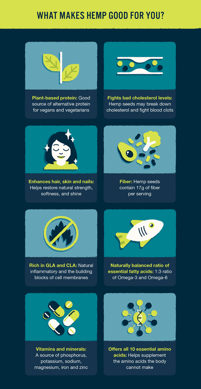 A Comprehensive Guide to Hemp: Uses, Nutrition, Benefits and History ...