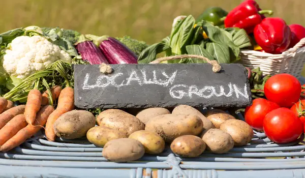 Local, Small-Scale Organic Farming Poised to Save the World — Here’s ...