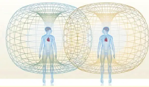 The Metaphysics of Our Spirituality within the Universal Toroidal Field ...