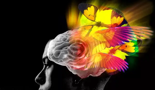Unveiling the Depths of the Human Psyche: Psychedelics May Unlock Parts ...