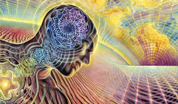 How Psychedelics Can Awaken You to Your Highest Potential and ...
