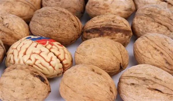 Why Walnut Resembles the Brain It Nourishes | Wake Up World