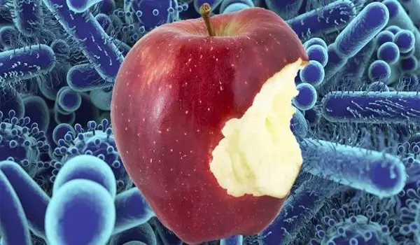 Organic Apples May Heal Your Gut Bacteria | Wake Up World