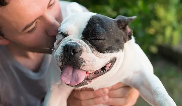 Pets DO Reduce Stress: New Study Shows Cortisol Reduction | Wake Up World