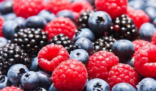 Flavonoid-Rich Foods, Such as Wine and Green Tea, linked to Cancer and ...