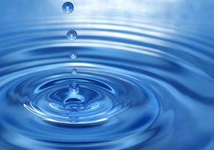 Here is How You Can Reprogram Your Life | Wake Up World