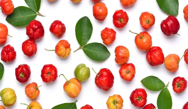 Acerola Cherry: 8 Benefits of This High-C Tropical Superfruit | Wake Up ...