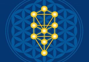 The Four Dimensions of the Tree of Life | Wake Up World