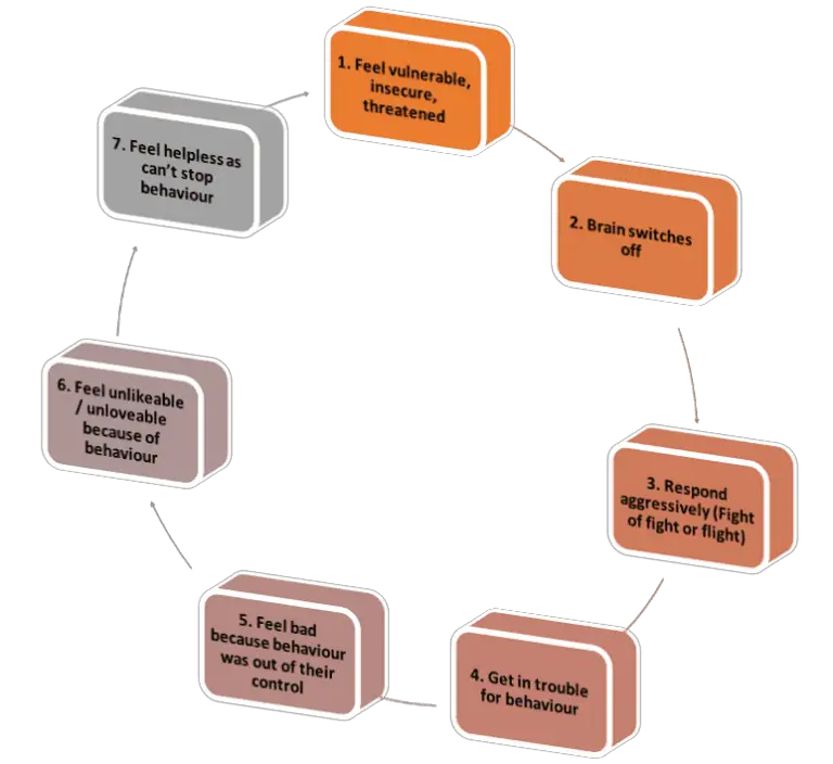 Where Did My Child Go? Behaviour Problems in Adolescent Children | Wake ...