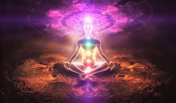 5D Ascension: Developing Your Daily 5D Shift Practice | Wake Up World