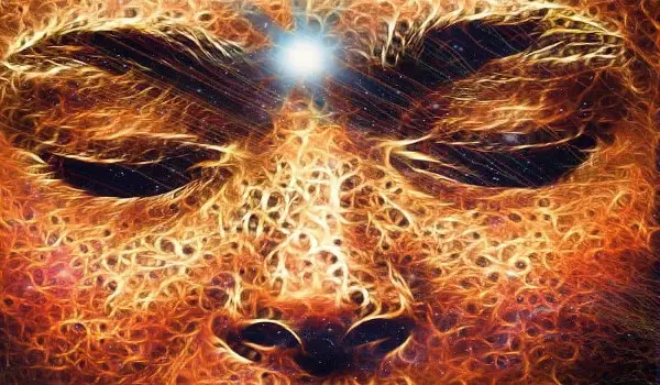 Soul Frequencies: Understanding Your Soul’s Vibration