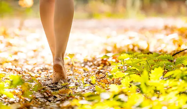 Learn How Walking Mindfully Can Improve Your Health