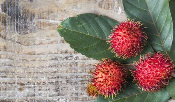 What Is Rambutan Good For?