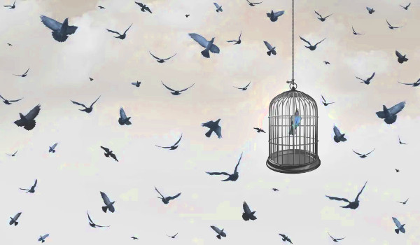How to Break Free When You’re Feeling Trapped in Life