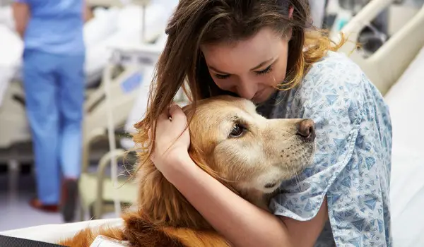 10 Benefits of Animal Therapy